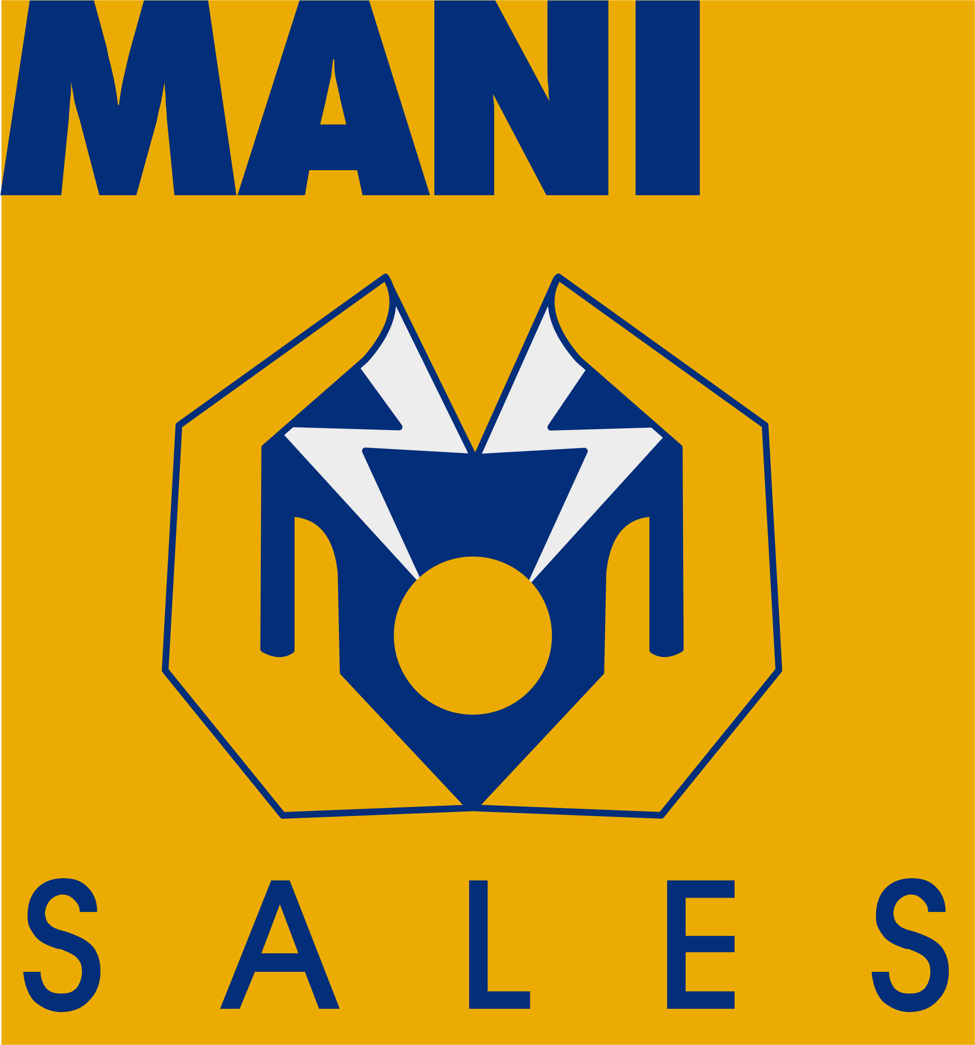 Mani Sales Bangalore | mPowering Solutions